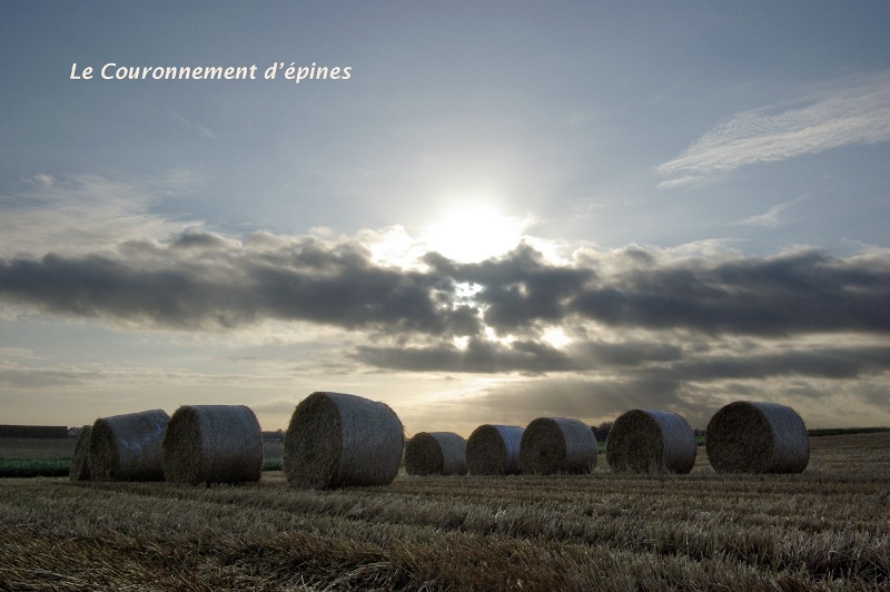 20-Couronnement d'épines - Province de Paris des Carmes Déchaux